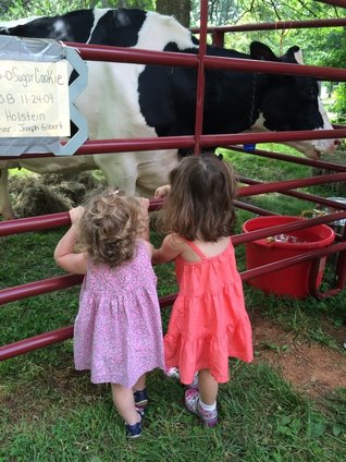 Charlottesville Summer Festivals for the Whole Family