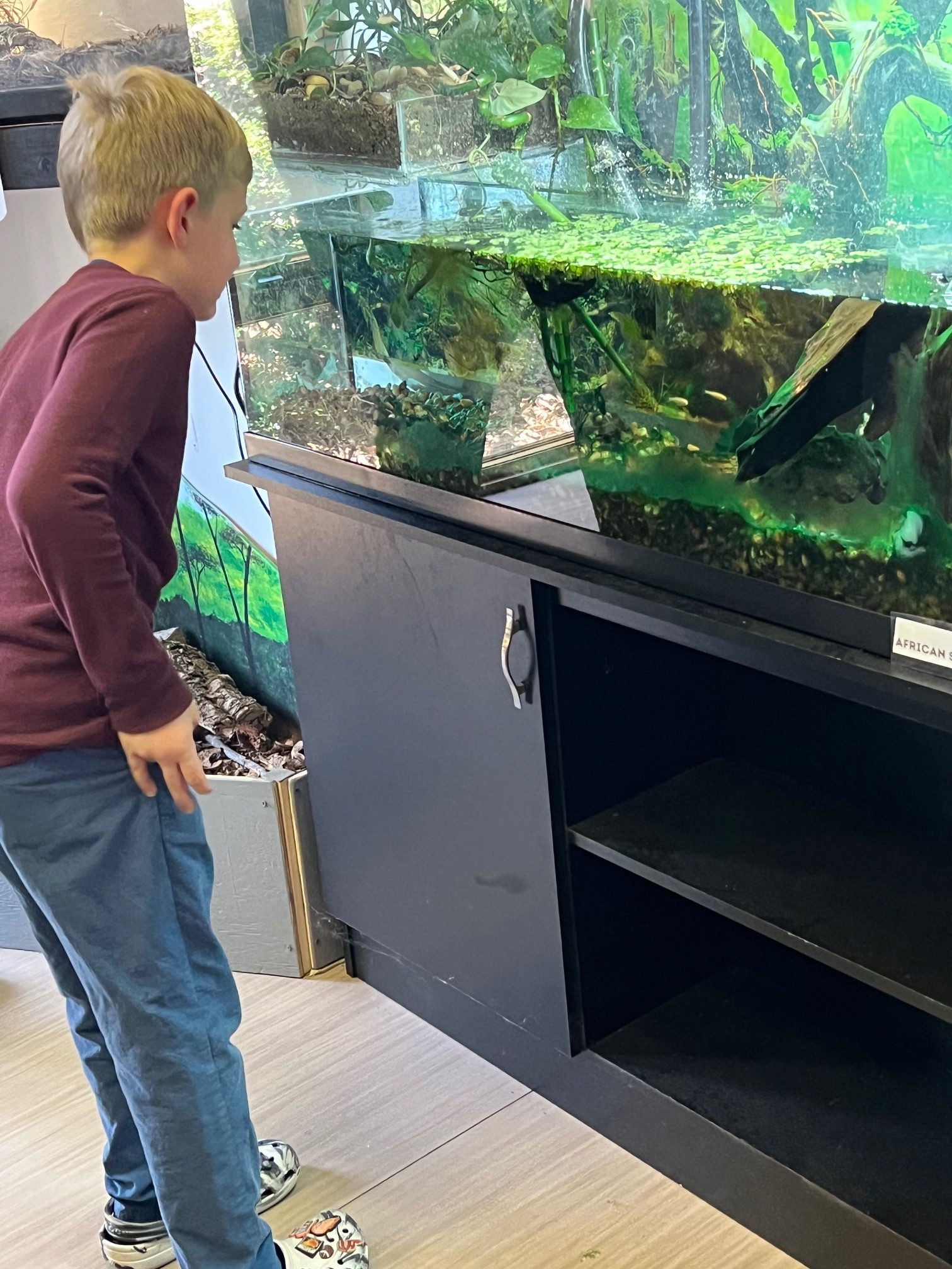 Virginia Reptile Museum - Charlottesville Family