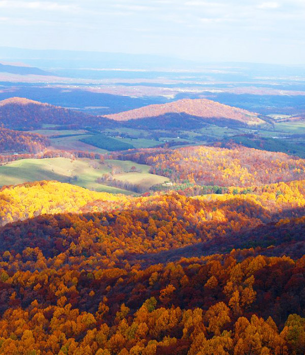 Graves Mountain Festival: A Family Tradition - Charlottesville Family