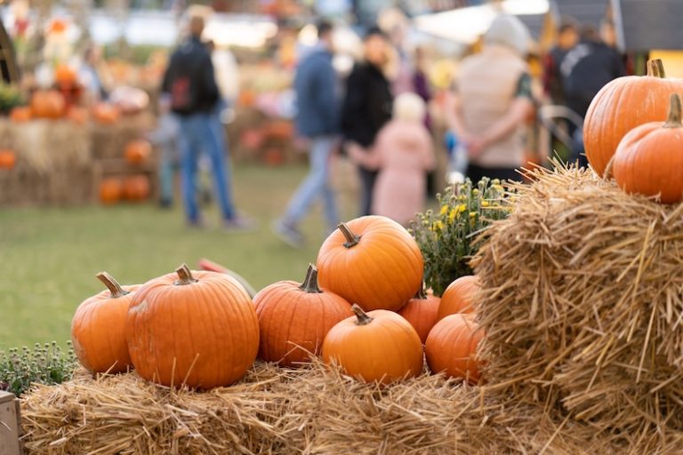 Charlottesville Fall Festivals 2025 – Family Events in Central Virginia ...