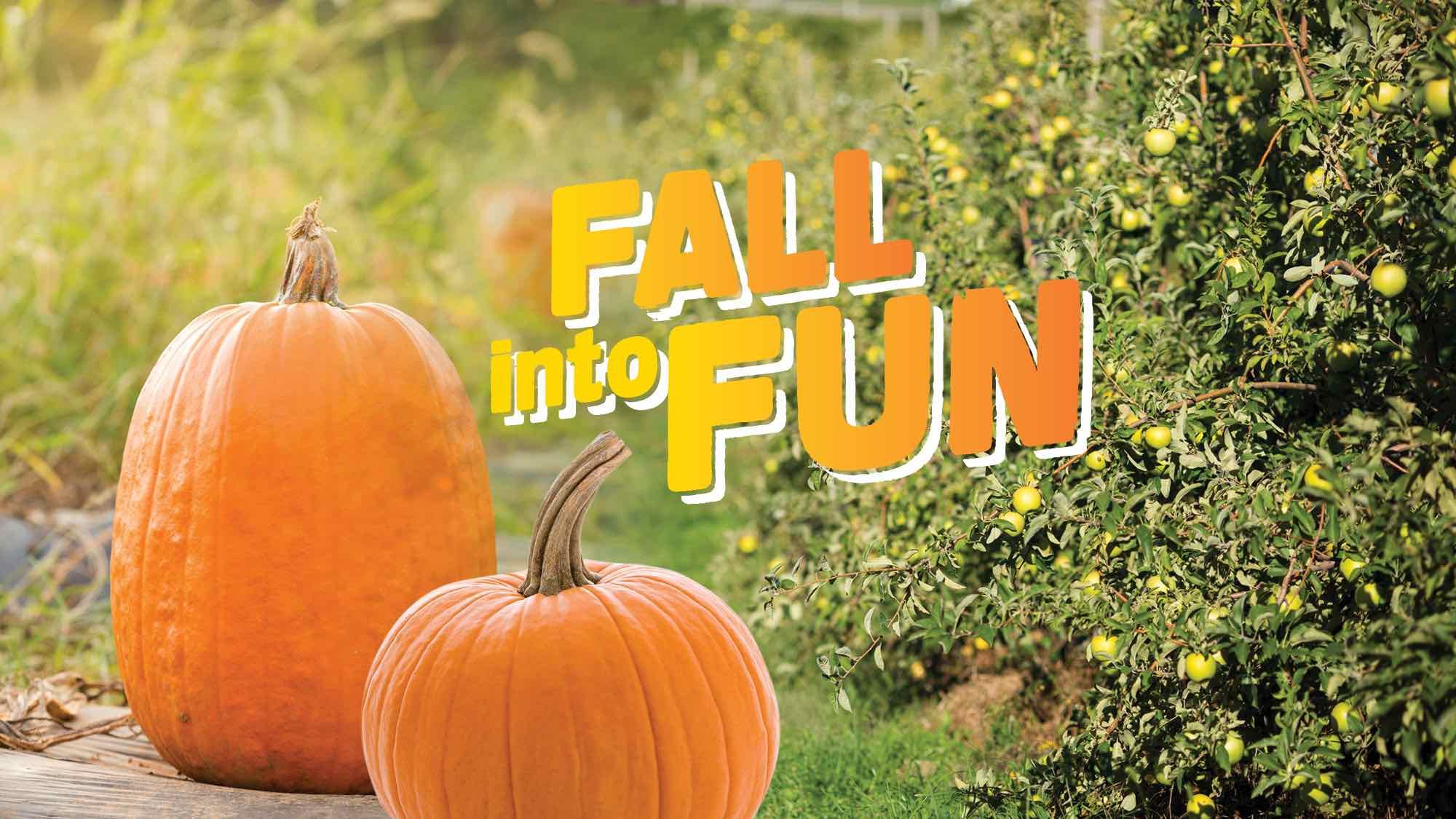 Fall Into Fun Festival